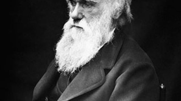 Darwin on a Godless Creation: "It's like confessing to a murder ...