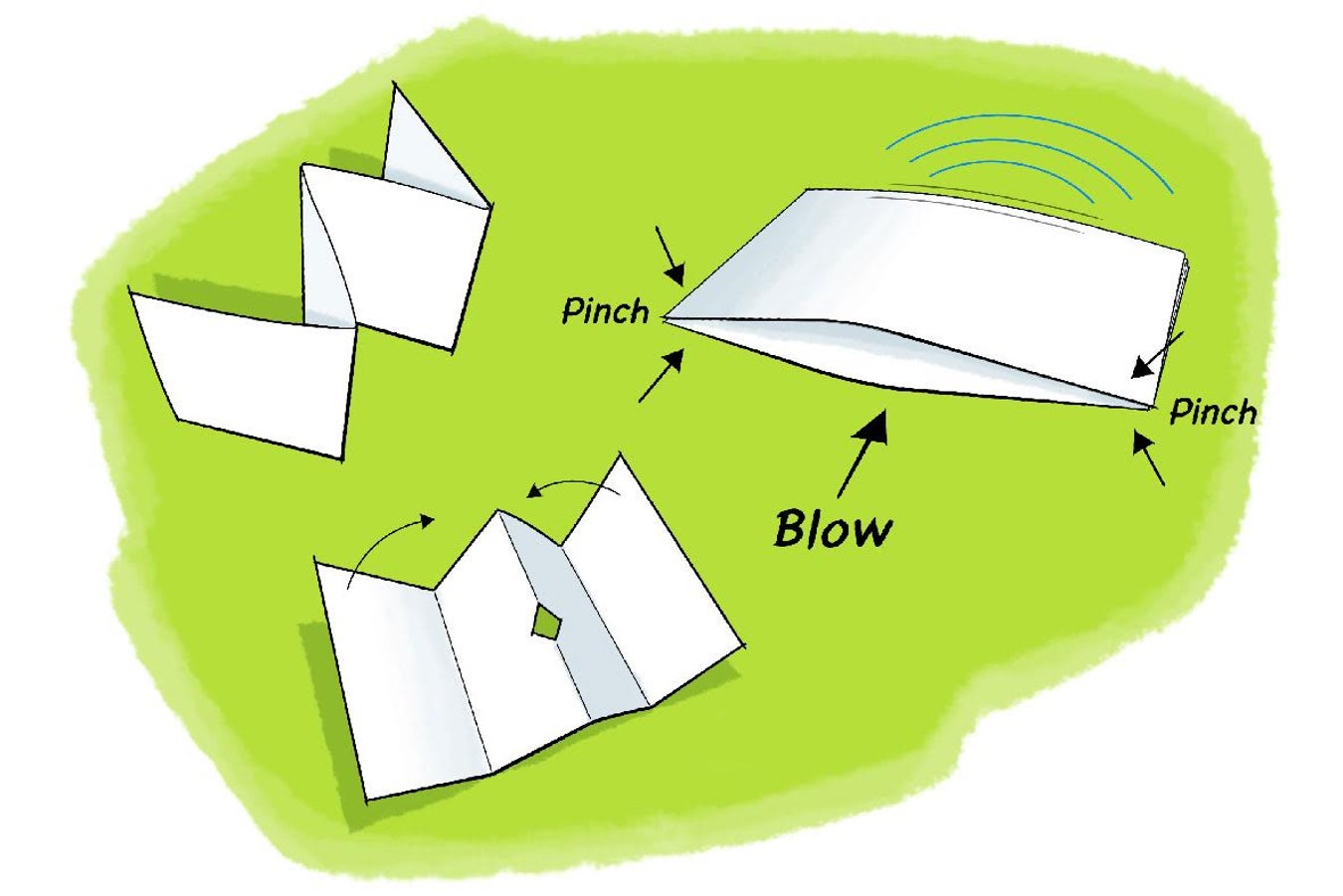 Paper Squawker | Scientific American