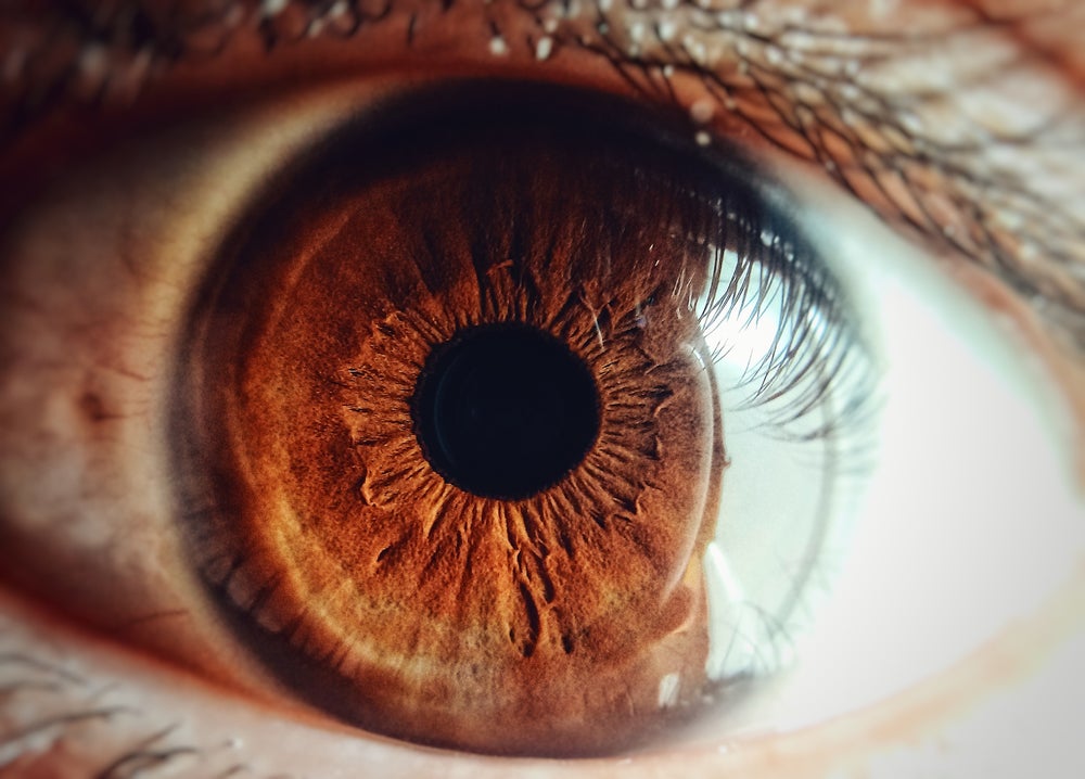 Meet the Eye Microbiome | Scientific American