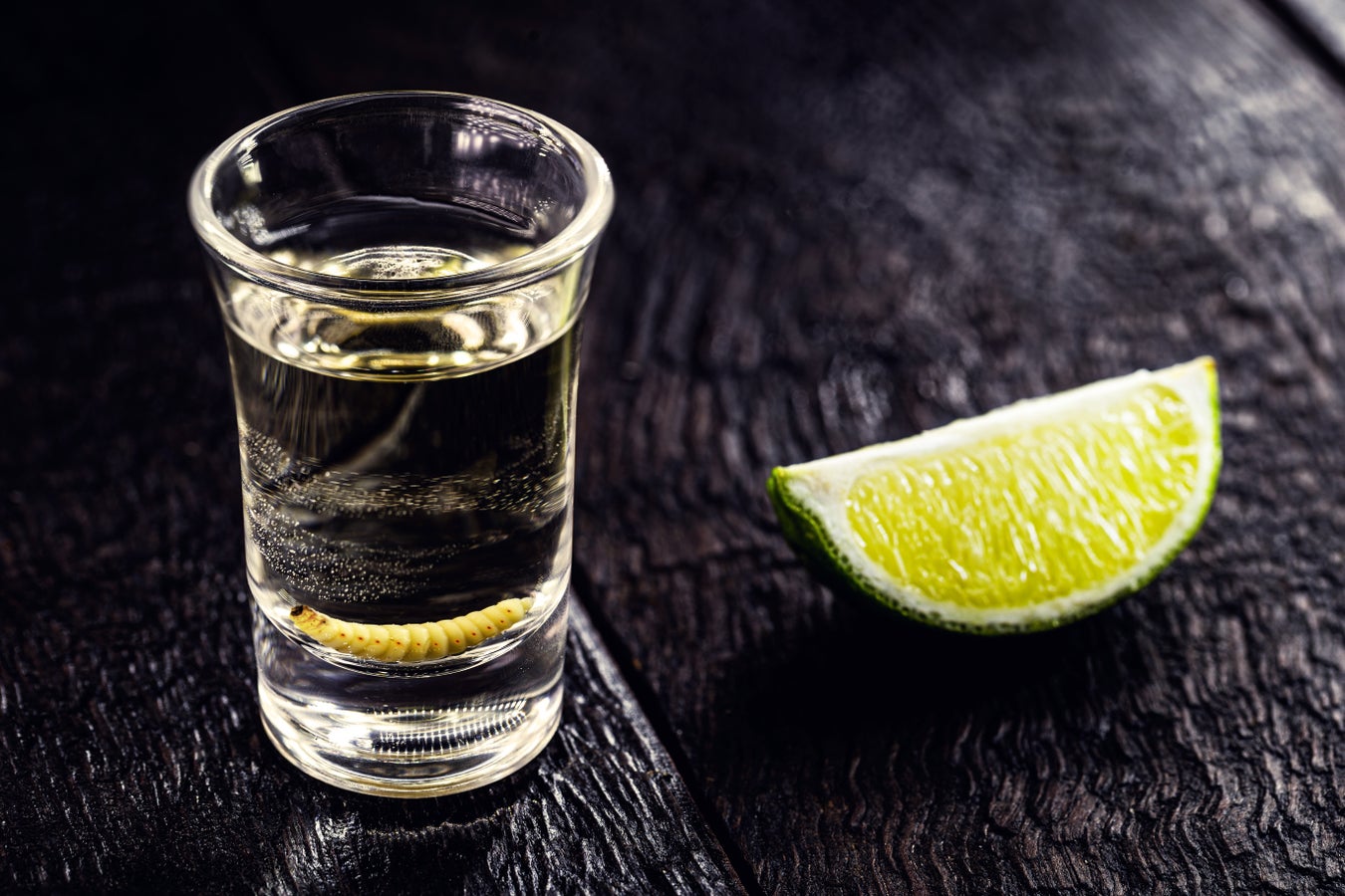 Scientists Have ID'd the Worm in Your Mescal | Scientific American