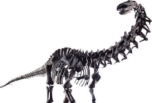 The Dinosaur Monsters We Adore - Scientific American