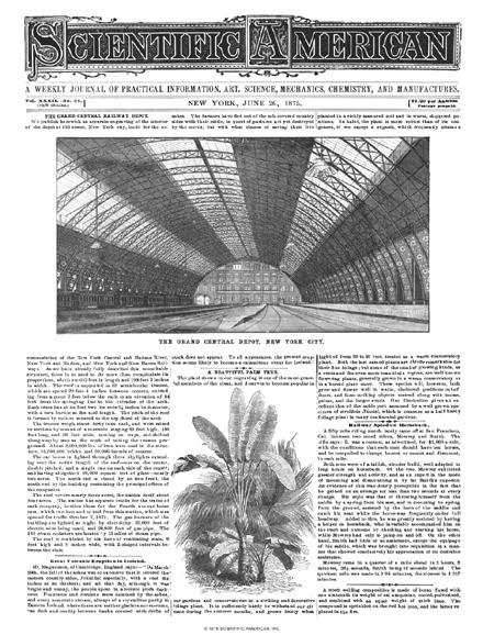 A Beautiful Palm Tree | Scientific American
