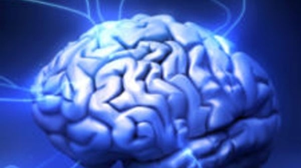 Cortical Call Out: The Brain's Electric Field Creates a Feedback Loop ...