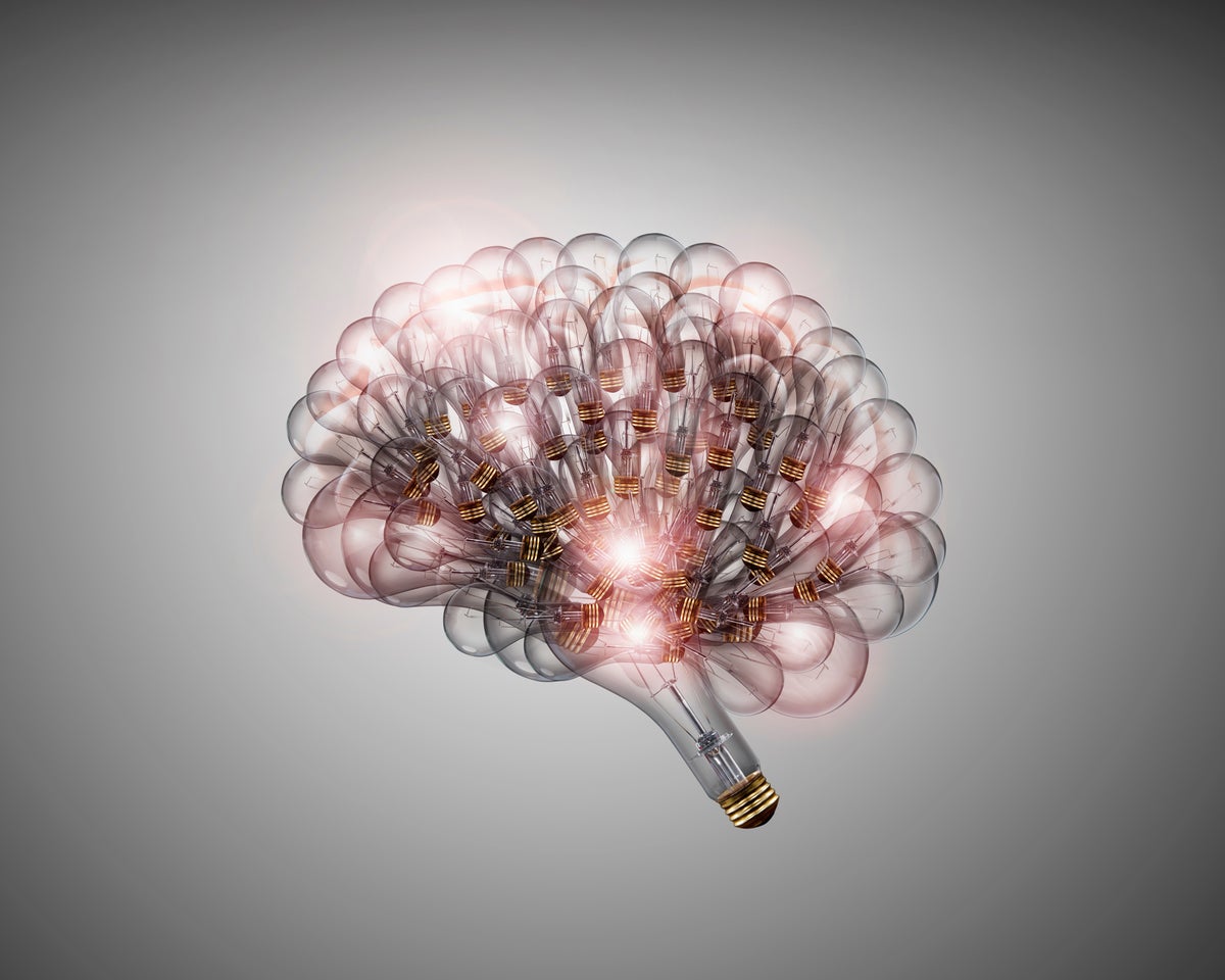 5 Simple Ways to Boost Our Intelligence | Scientific American