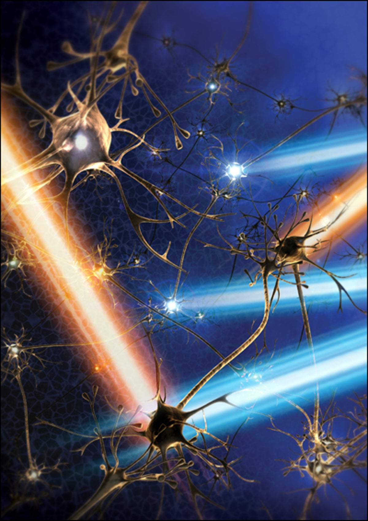 Neuron Laser Tag | Scientific American