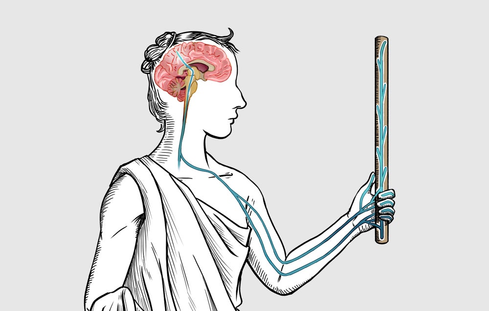 The Brain Senses Touch beyond the Body | Scientific American