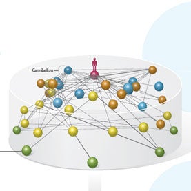 The Dwindling Web - Scientific American