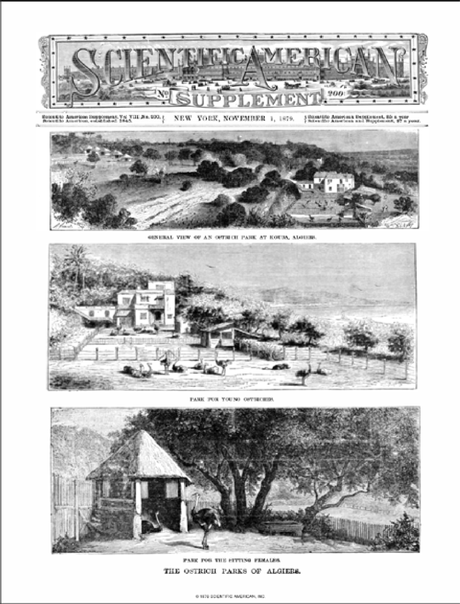 Issue Archive - 1879 | Scientific American
