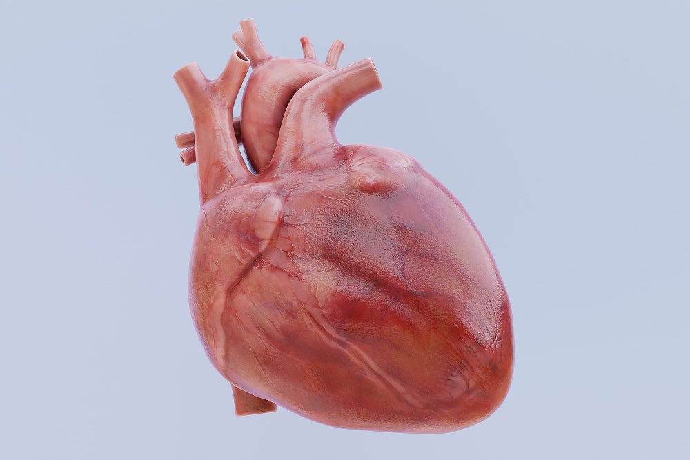 First-Ever Biorobotic Heart Helps Scientists Study Cardiac Function ...
