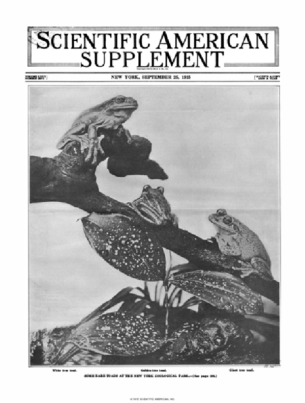 Scientific American Supplements Volume 80, Issue 2073supp | Scientific ... Scientific American Supplements Volume 80, Issue 2073supp | Scientific ...