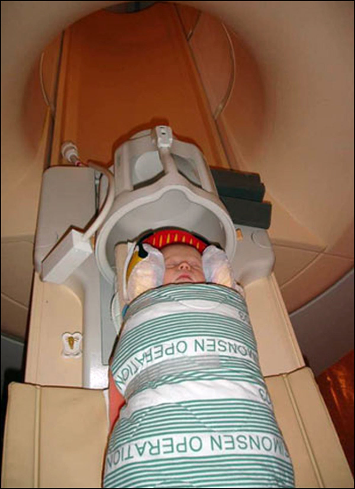 Cutest. fMRI. Ever. | Scientific American