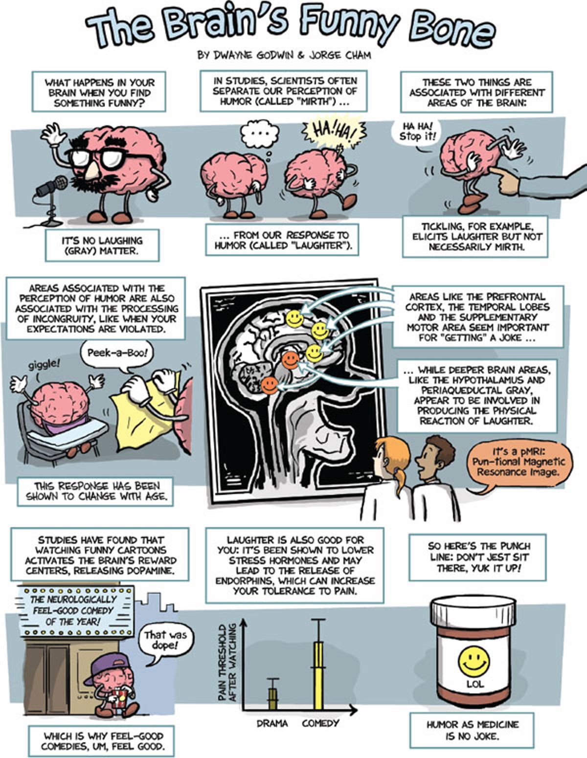 Locating the Brain's Funny Bone | Scientific American