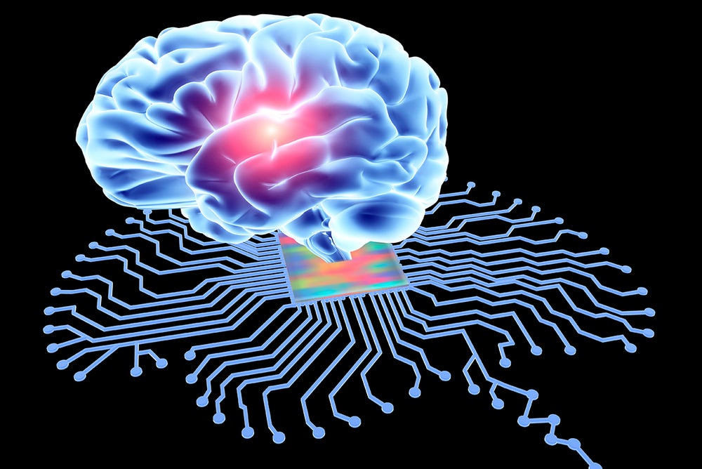 How to Map the Circuits That Define Us | Scientific American