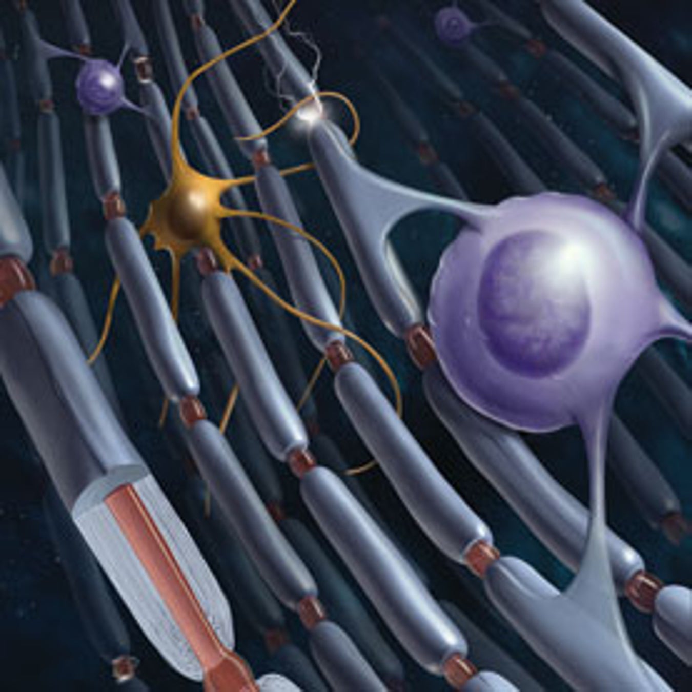 The Hidden Brain | Scientific American
